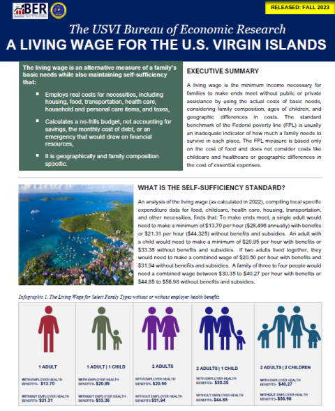 Studies | Bureau of Economic Research US Virgin Islands